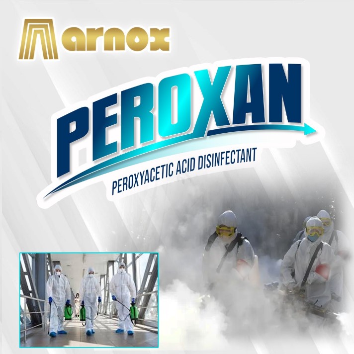 Our Products – Eaglestar Group of Companies